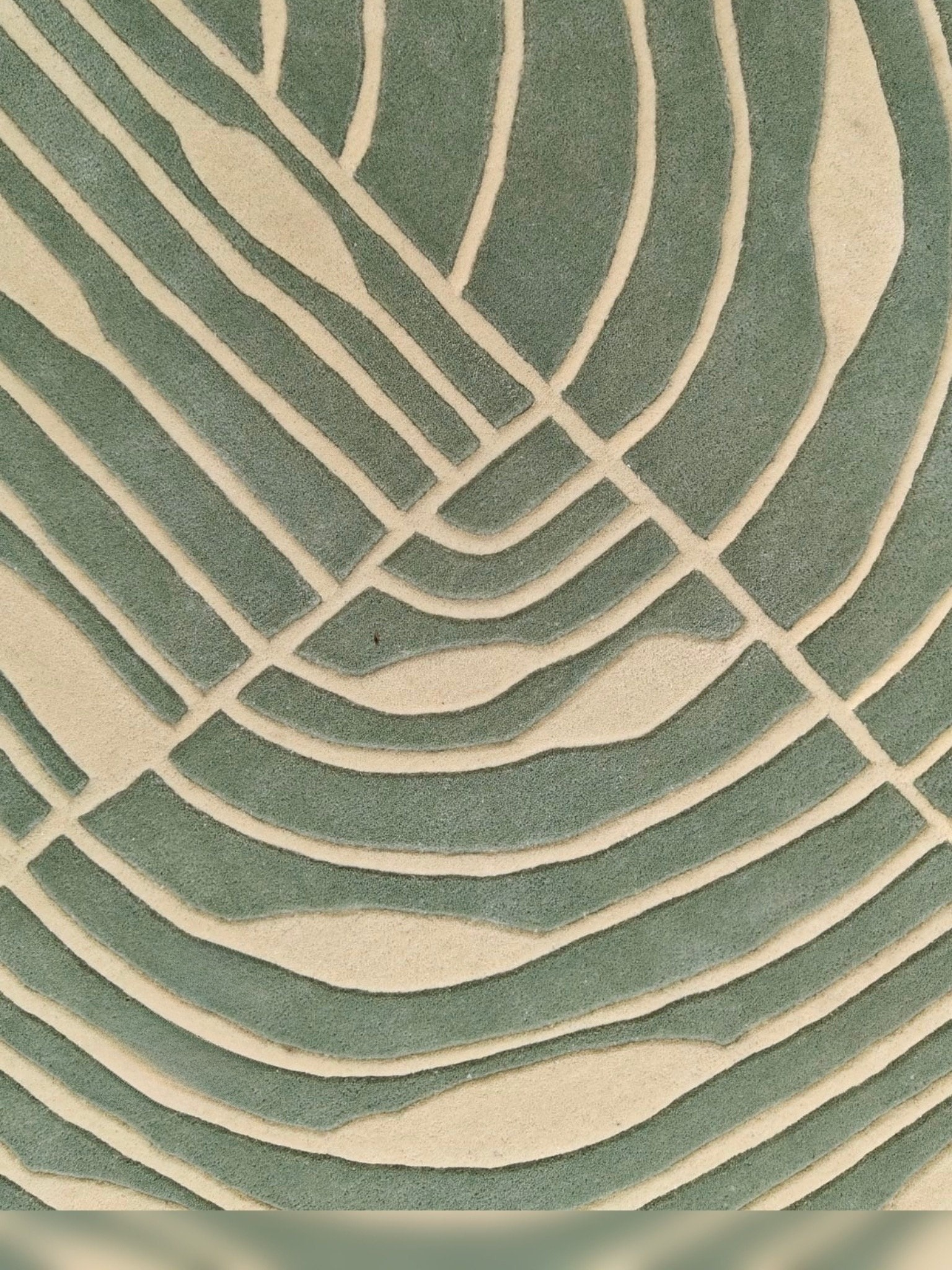 Irregular Shaped Designer Hand Tufted Wool Rug - Artistic Furniture ...